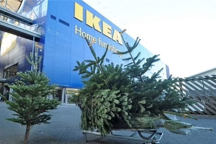 This Is When Ikea Is Selling Their Christmas Trees - It's On Cardiff