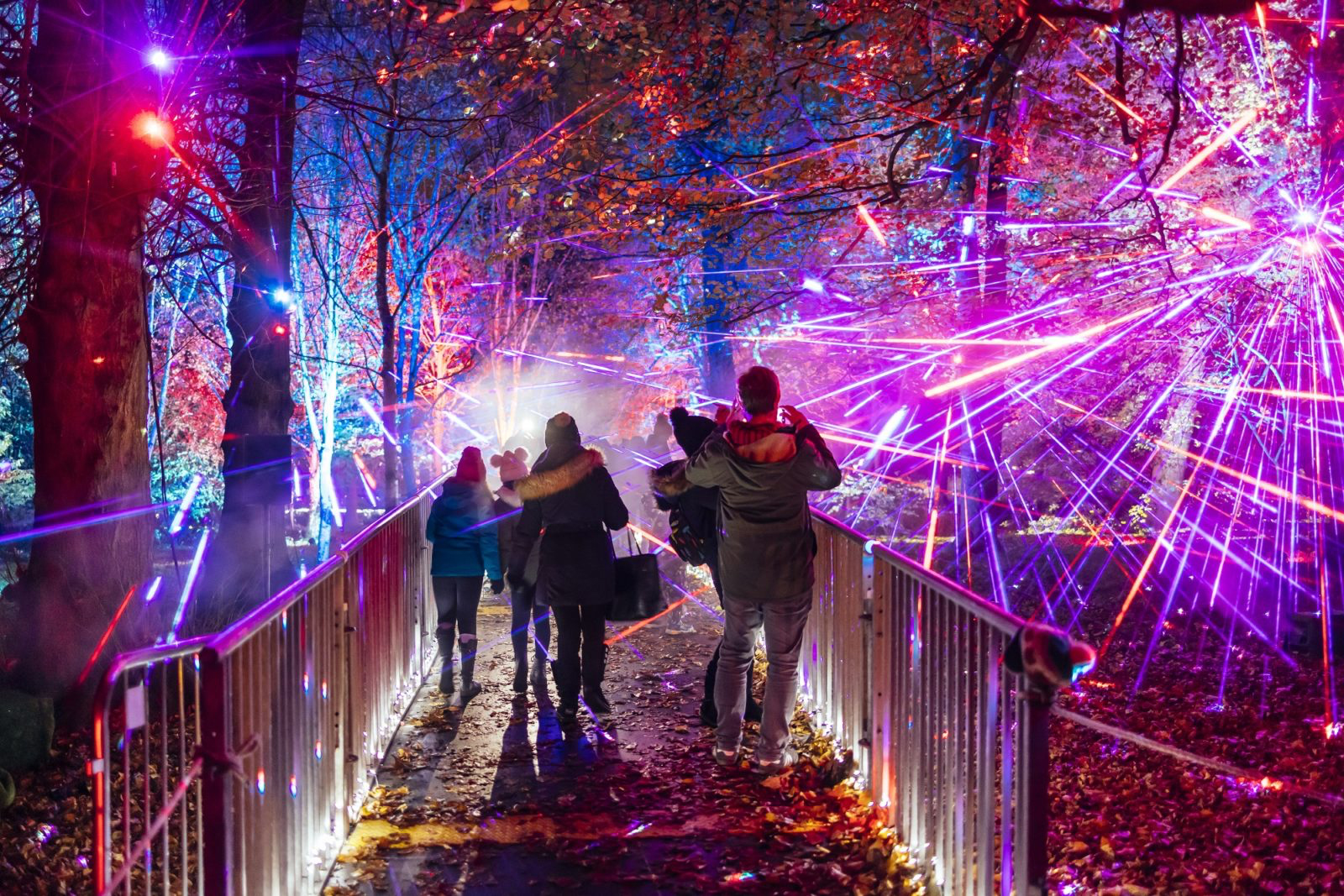 Christmas at Bute park light trail returns with new magical ...