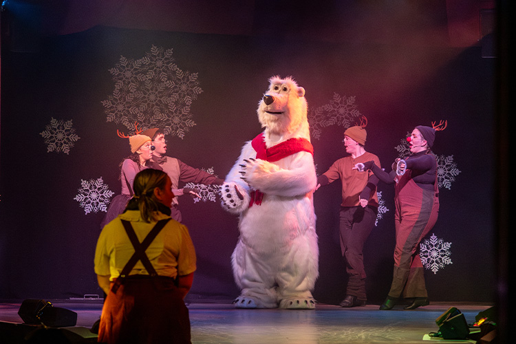 The Snow Queen: A Magical Winter Adventure at the Cardiff Christmas ...