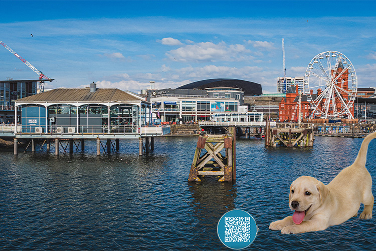 Hop into Easter fun at Mermaid Quay with pet-themed trail and family ...