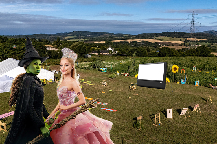 Sunset Cinema Among the Sunflowers at Clearwell Farm - It's On Cardiff