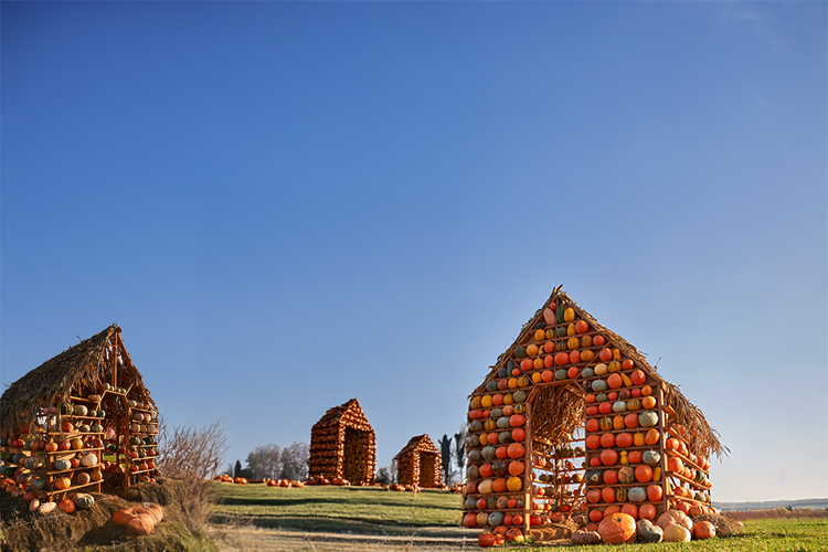 UK’s largest Pumpkin Village is Opening In Cardiff - It's On Cardiff