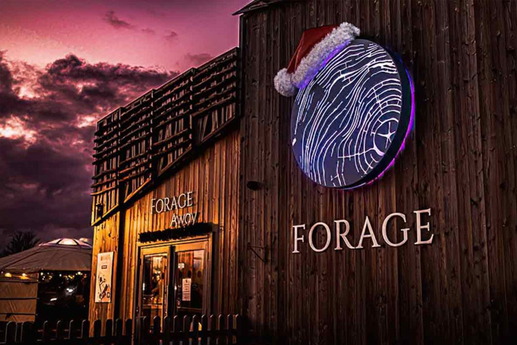 The Magical Christmas Experience Returns to Forage Farm - It's On Cardiff